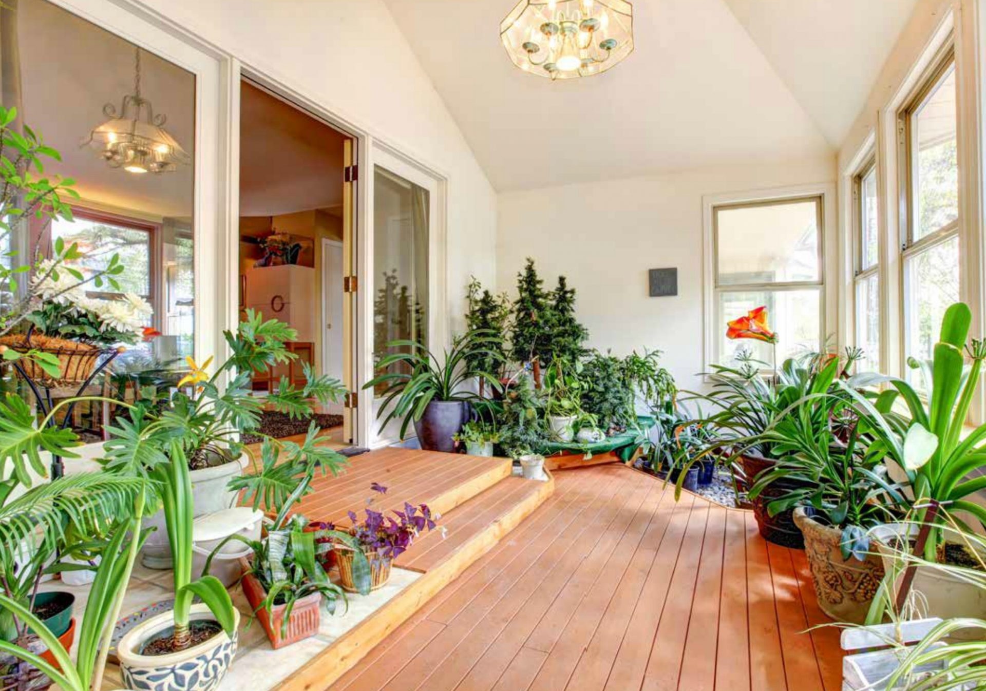 I consigli per arredare gli ambienti della casa con le piante - Ville ...