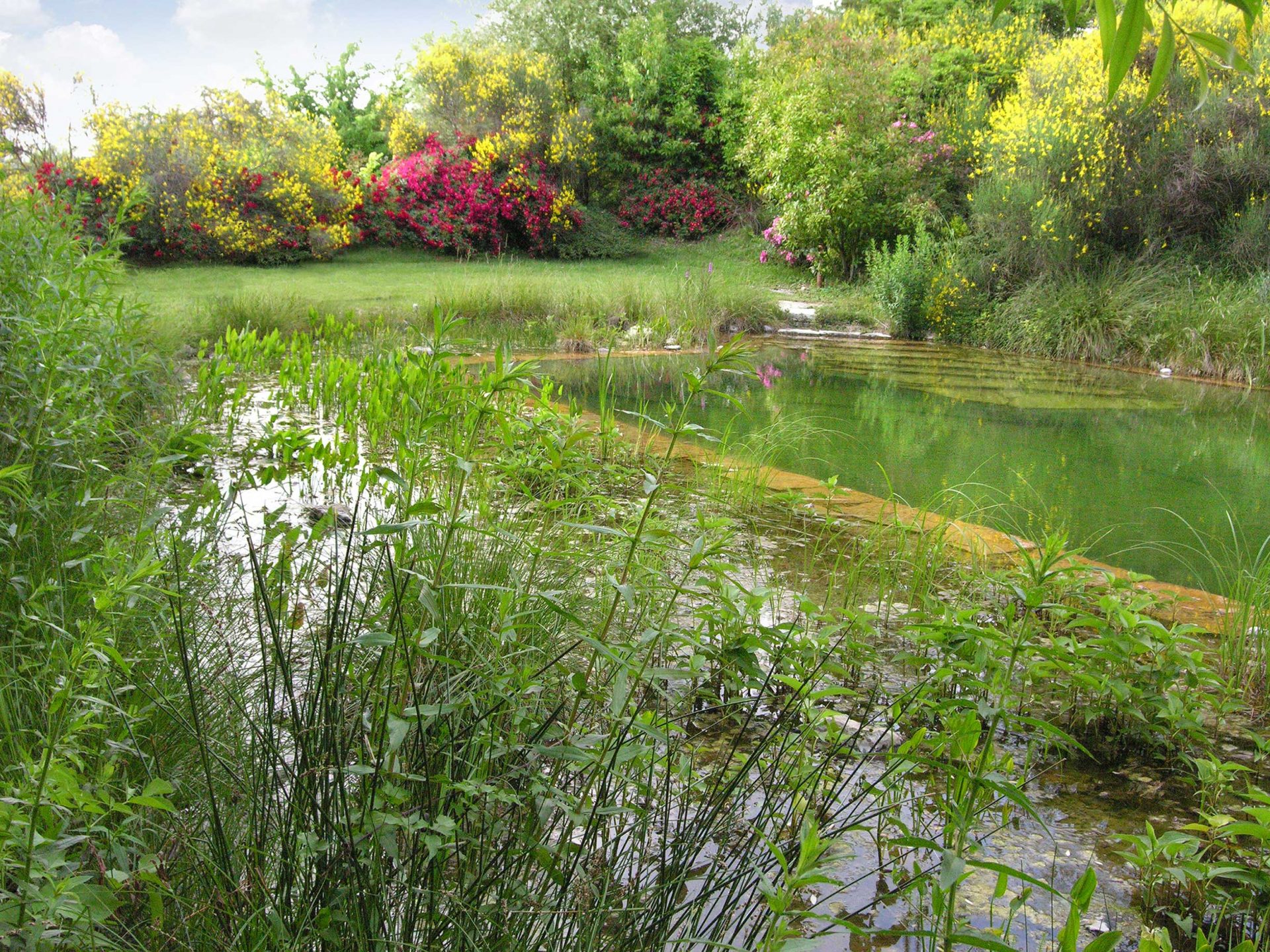 Oltre la piscina. Nuotare in un biolago - Ville&Casali